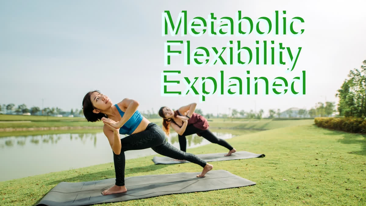 What Is Metabolic Flexibility? 5 Steps To Reset Your Body’s Fat-Burning ...