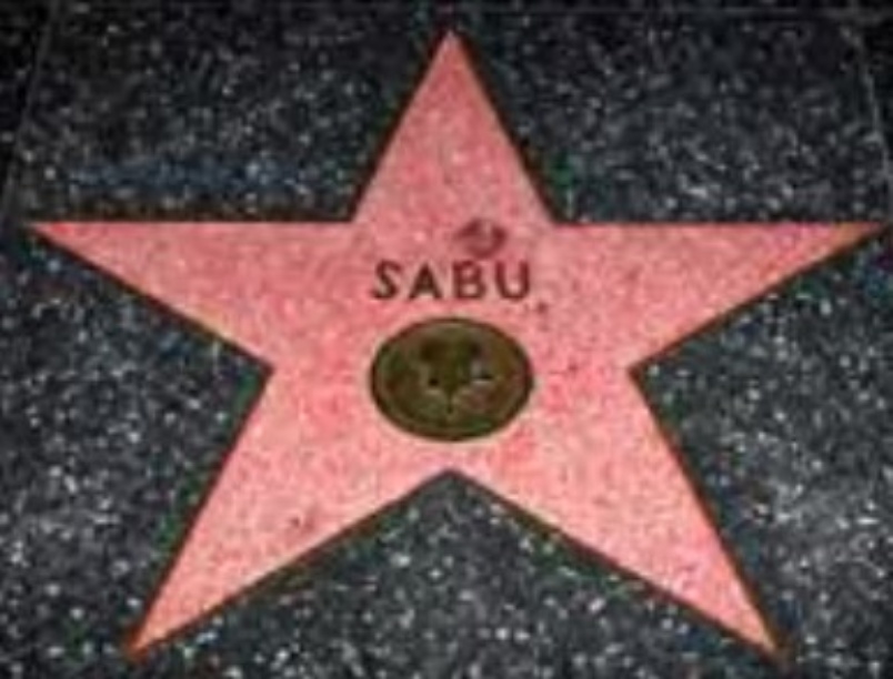 Sabu Dastagir, First Indian On Hollywood Walk Of Fame, Gets A Biopic