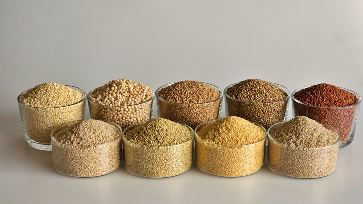 Why Positive Millets Work When Oats and Quinoa Don’t, The Gluten-Free ...