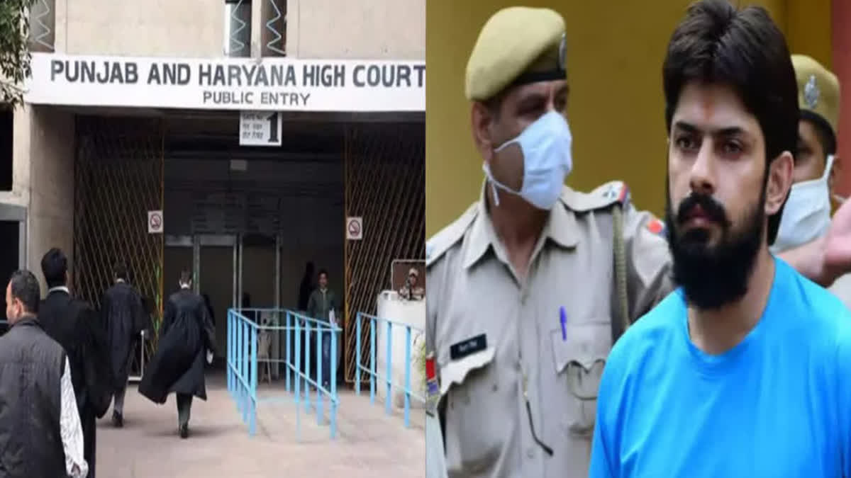 Lawrence Bishnoi's In-Custody Interviews: High Court Raps Punjab DGP ...