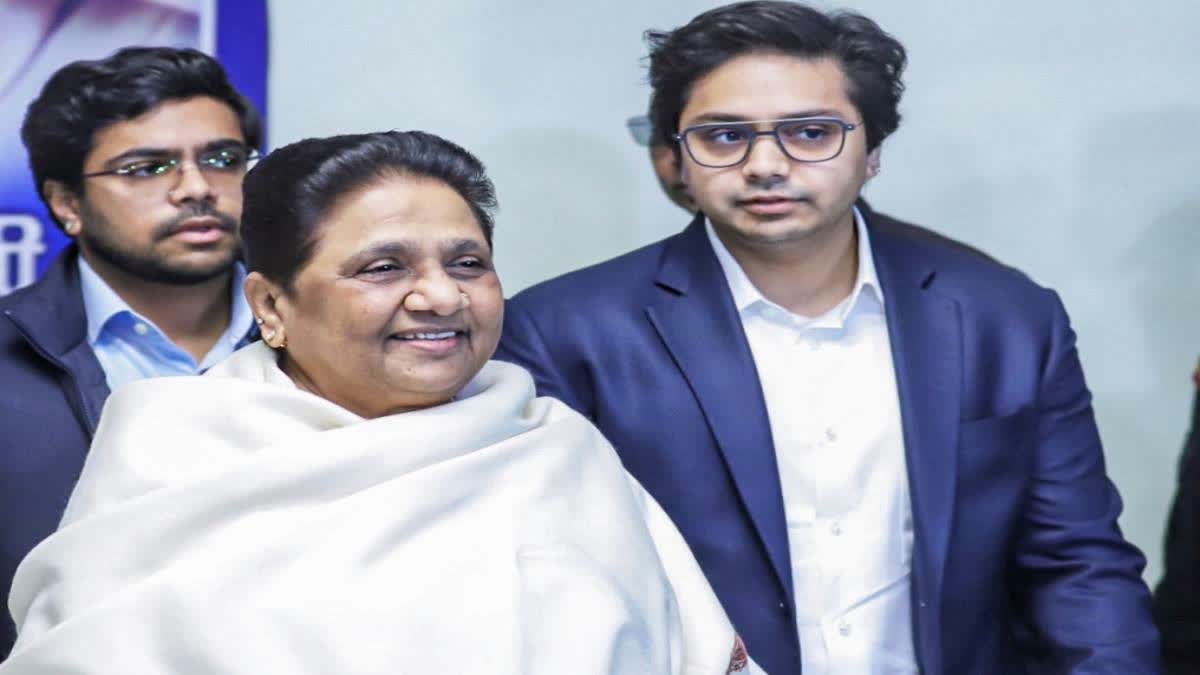 Mayawati Appoints Nephew Akash Anand As Chief National Coordinator Of BSP