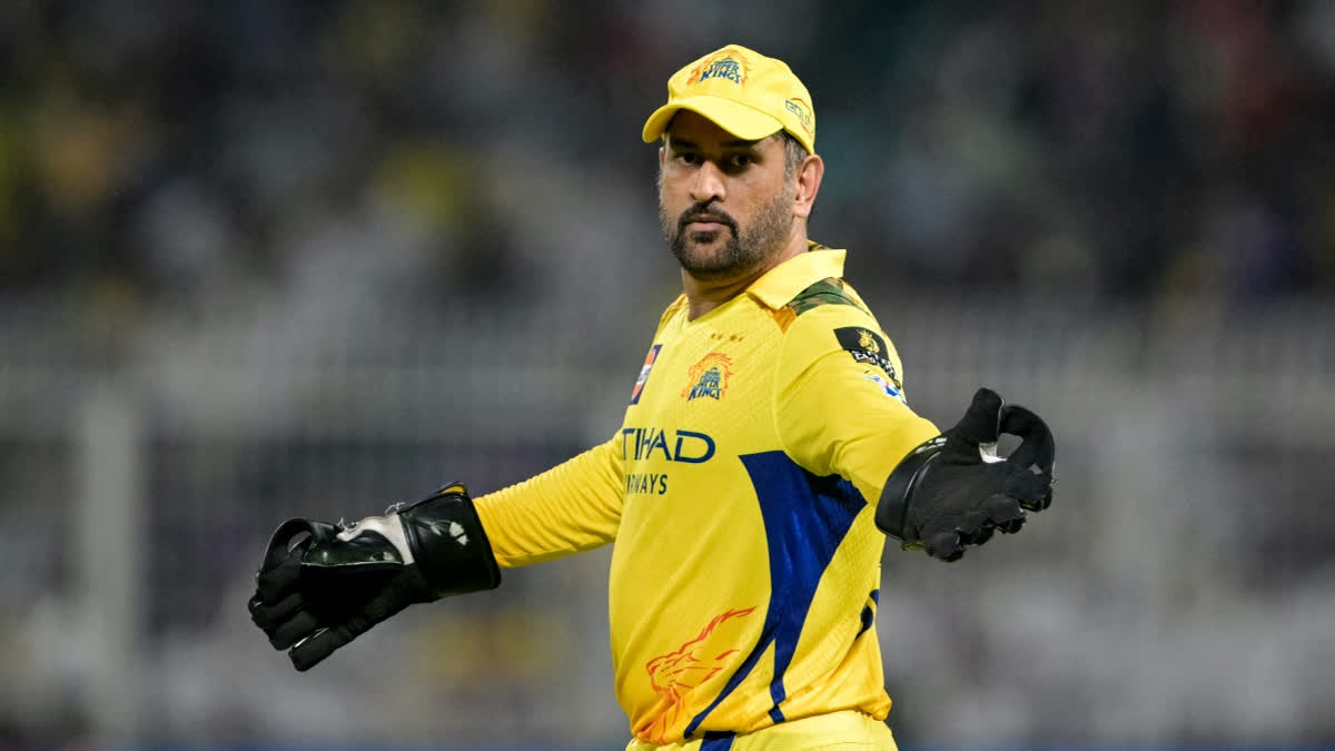 MS Dhoni Has Real Fan Base, Rest All Have Paid Fans On Social Media ...