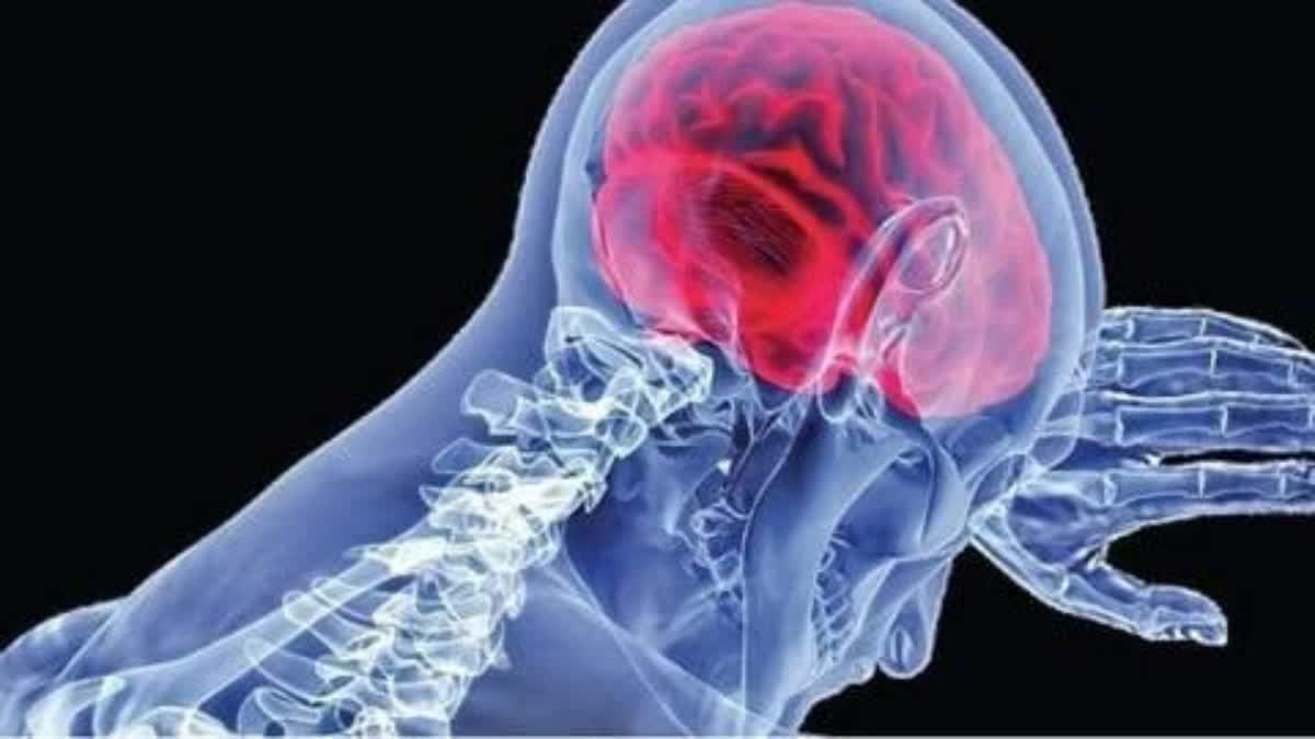 Amoebic Meningoencephalitis Resurfaces In Kozhikode, Infant Among Two ...