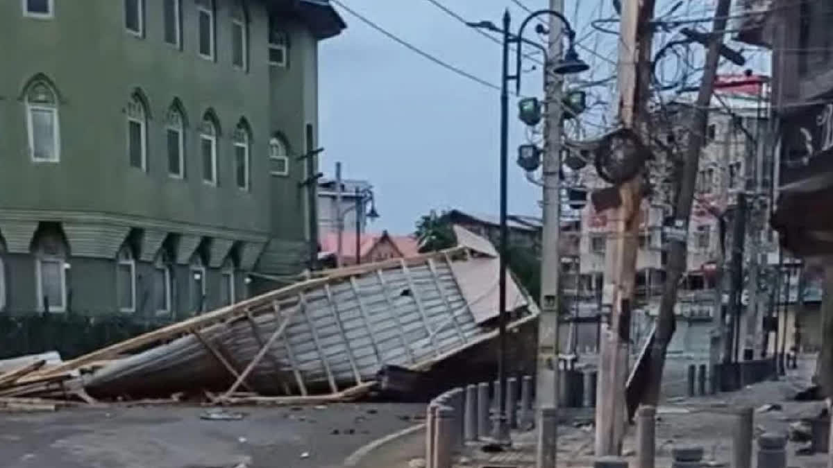 Girl Dies After Tree Falls On Tent As Fierce Winds Trigger Widespread ...