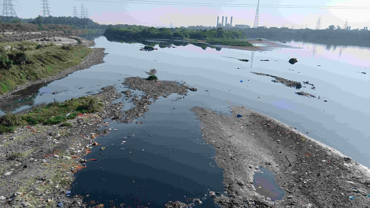 Yamuna Pollution Continues To Be Major Challenge For Delhi