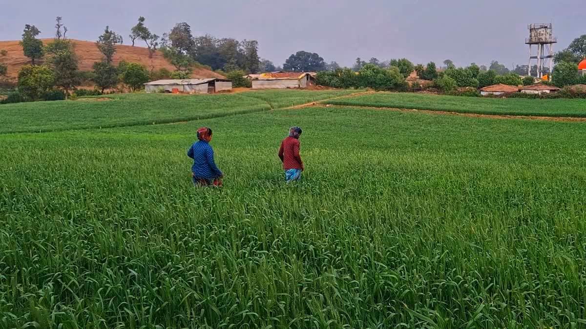 Agriculture Ministry Takes Key Initiatives To Enhance Farmers' Skills ...