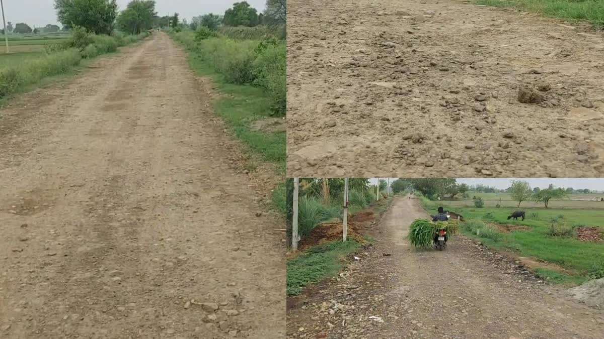 టెండర్ ఇవ్వలేదని కాంట్రాక్టర్ కొత్త స్కెచ్ .. 21 కి.మీ రోడ్డు చోరీ.. ఆ ...