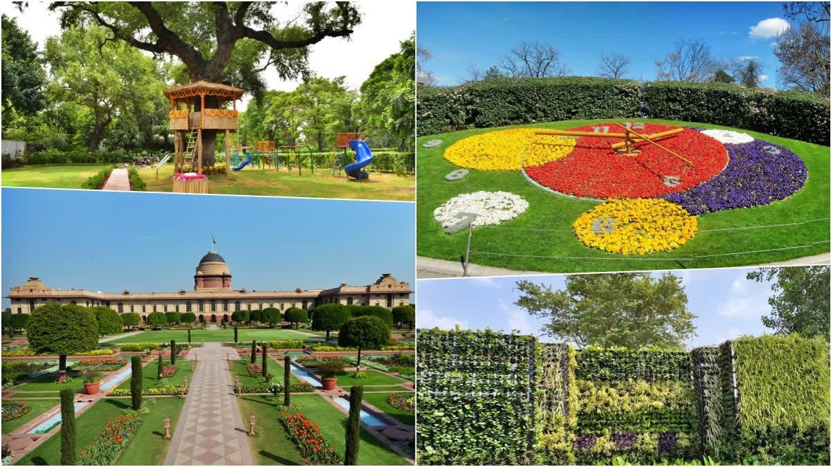Whimsical Gardens To Musical Fountain, Key Attractions At Amrit Udyan ...