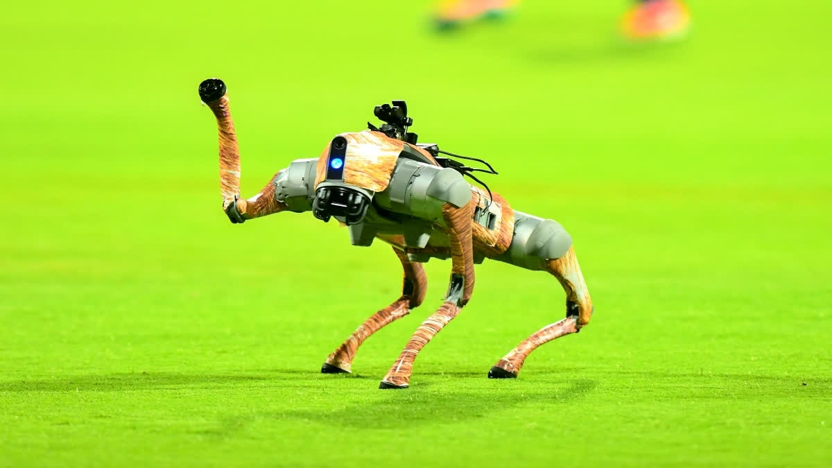 ಐಪಿಎಲ್ ನಲ್ಲಿ ಸದ್ದು ಮಾಡುತ್ತಿರುವ 'ರೋಬೋಟ್ ಡಾಗ್' ಗೆ ಇಟ್ಟ ಹೆಸರೇನು ಗೊತ್ತಾ?