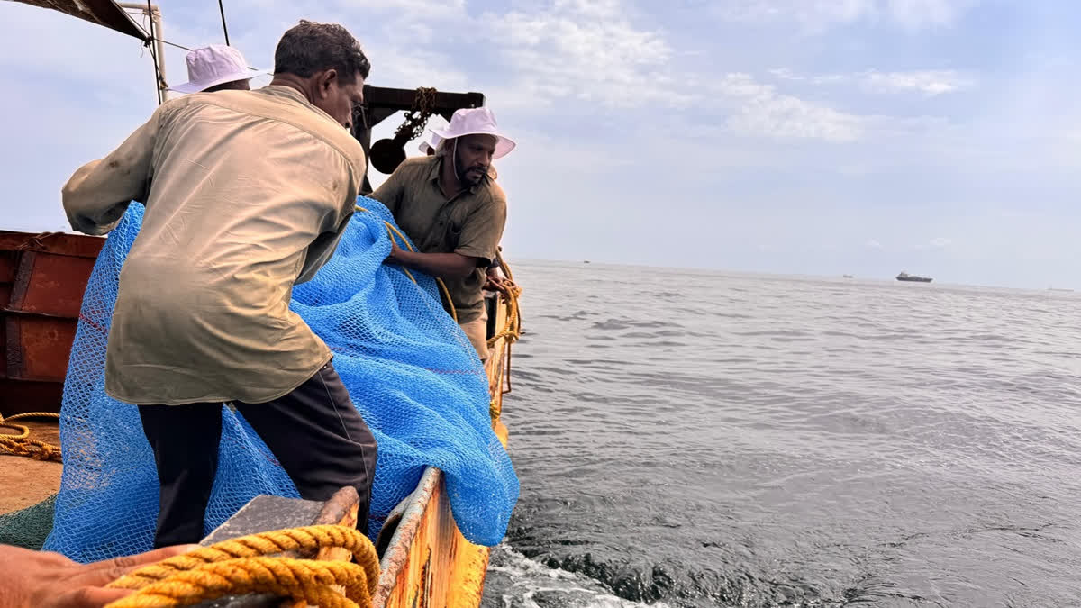 Protecting Marine Life: Centre Proposes TED Installation To Reduce By ...