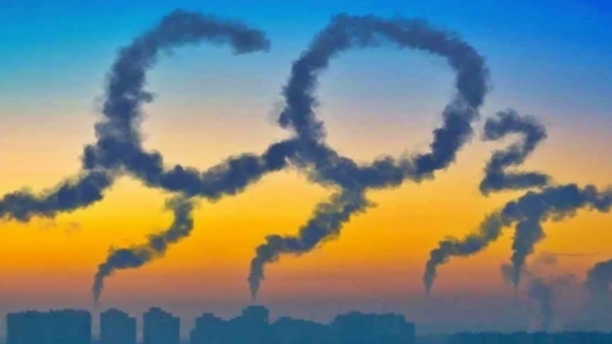 Rapid Urbanisation Has Reduced Pune's Ability To Absorb CO2, Says Study