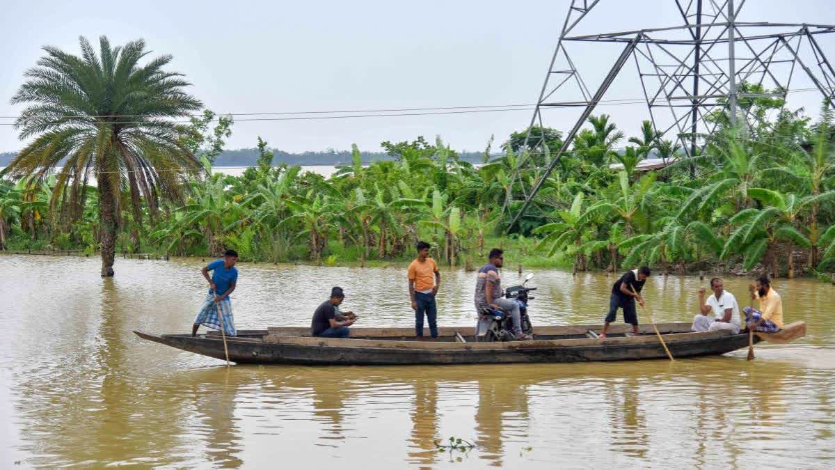 Monsoon Mayhem In India: Floods Bring Snakes Closer To Human Settlements