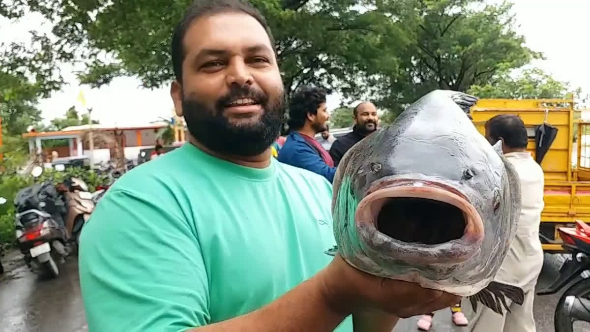 People Fish hunting in Karimnagar : రోడ్డుపై పారుతున్న వరద నీరు.. చేపల ...