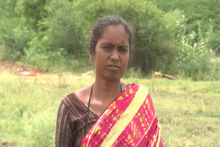 PhD Holder Sake Bharathi Comments: చదువుల 'భారతి'కి అన్యాయం.. ఇంటికి ...