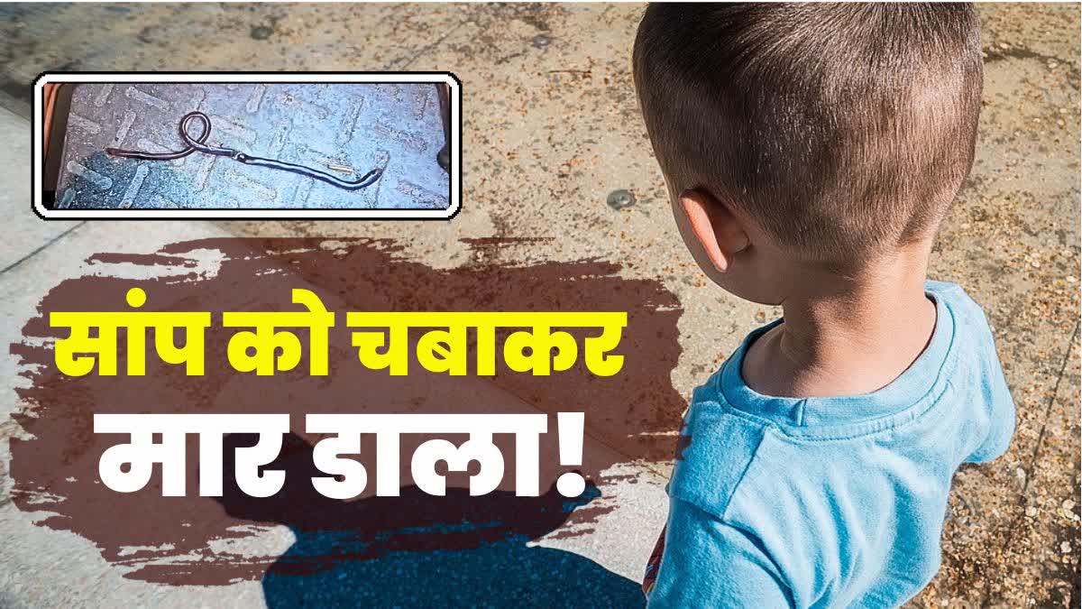बिहार के गया में एक साल के बच्चे ने 3 फीट लंबे सांप को समझा खिलौना, चबा ...