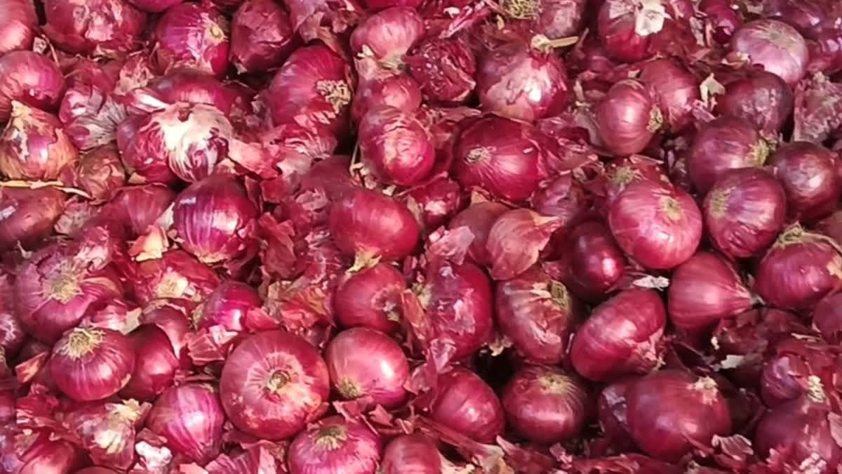 Govt Withdraws 20 Per Cent Export Duty On Onion Effective April 1