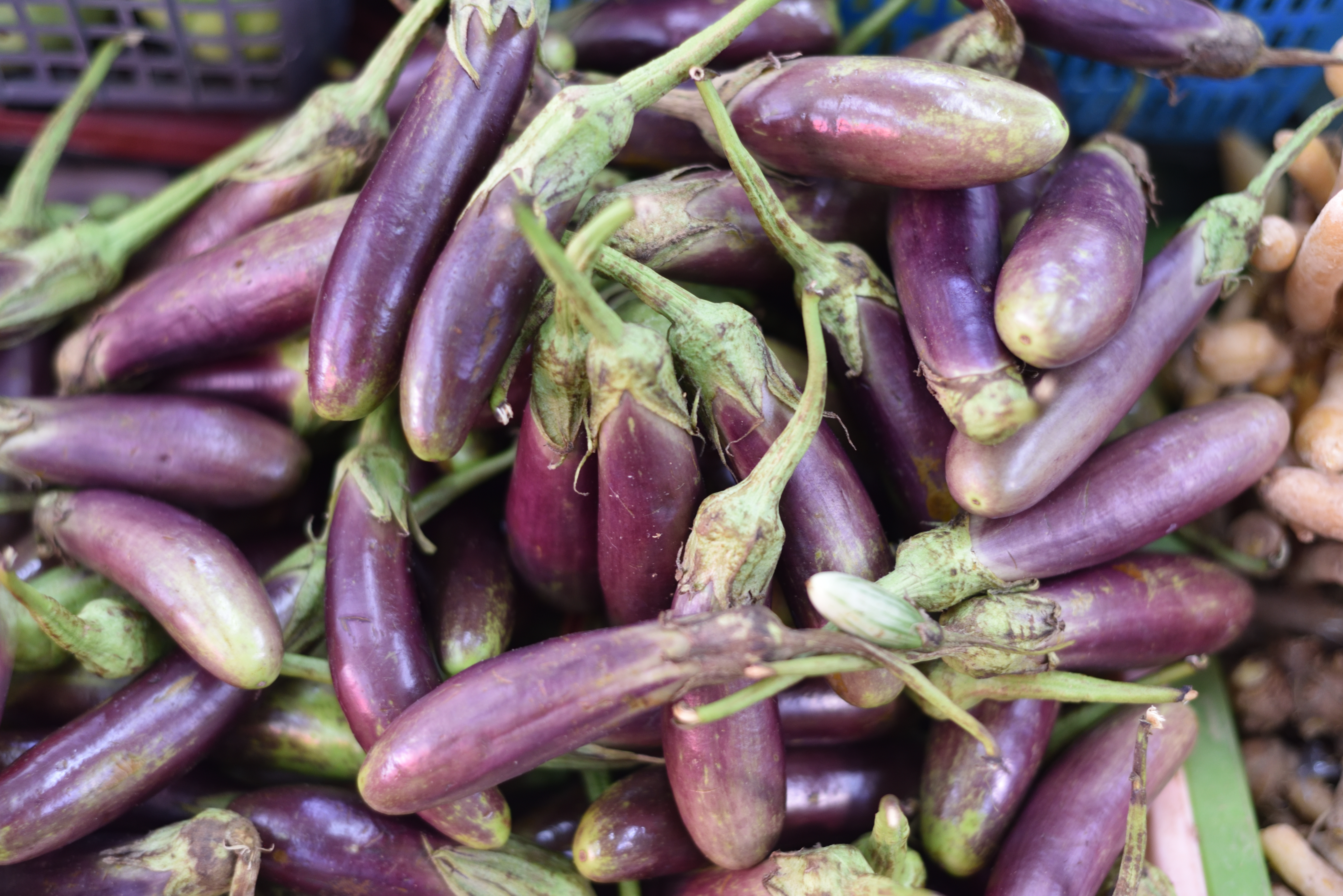 ఘుమఘుమలాడే "వంకాయ కొబ్బరి కారం" - సింపుల్ గా ఇలా ట్రై చేయండి!