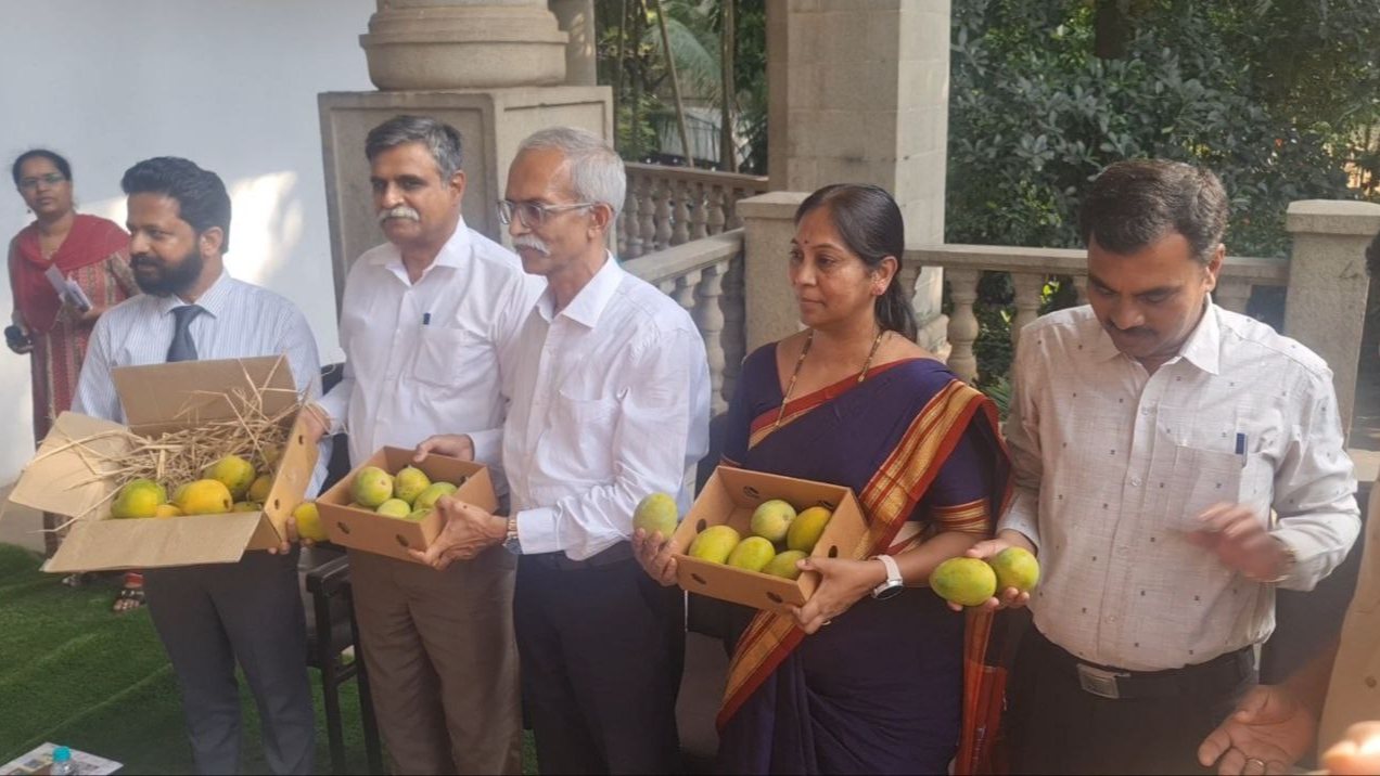 Farm-Fresh Mangoes Online: India Post Launches Farmers-To-Doorstep ...