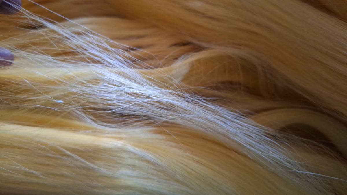 After Years Of Neglect, Malda Silk Growers Eye A Golden Comeback