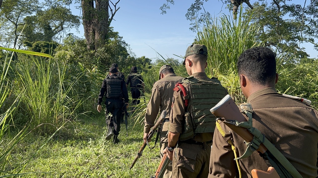 Assam Scripts Remarkable Comeback Story In Wildlife Conservation