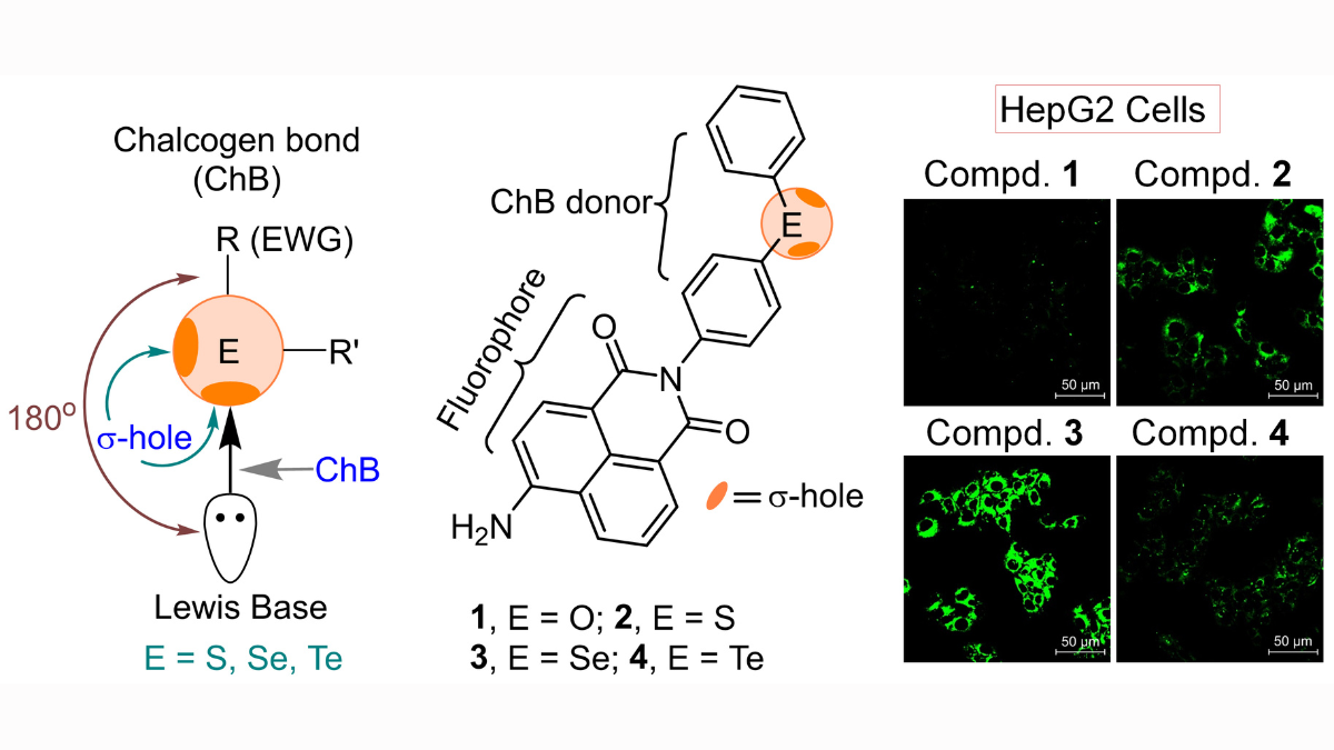 Atomic Tweaks, Major Impact: IISc Unlocks New Path For Drug Delivery ...
