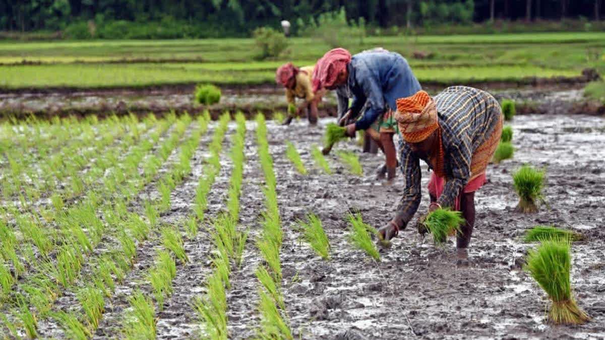 Climate Resilient Technologies Promoted For Climate-Smart Farming