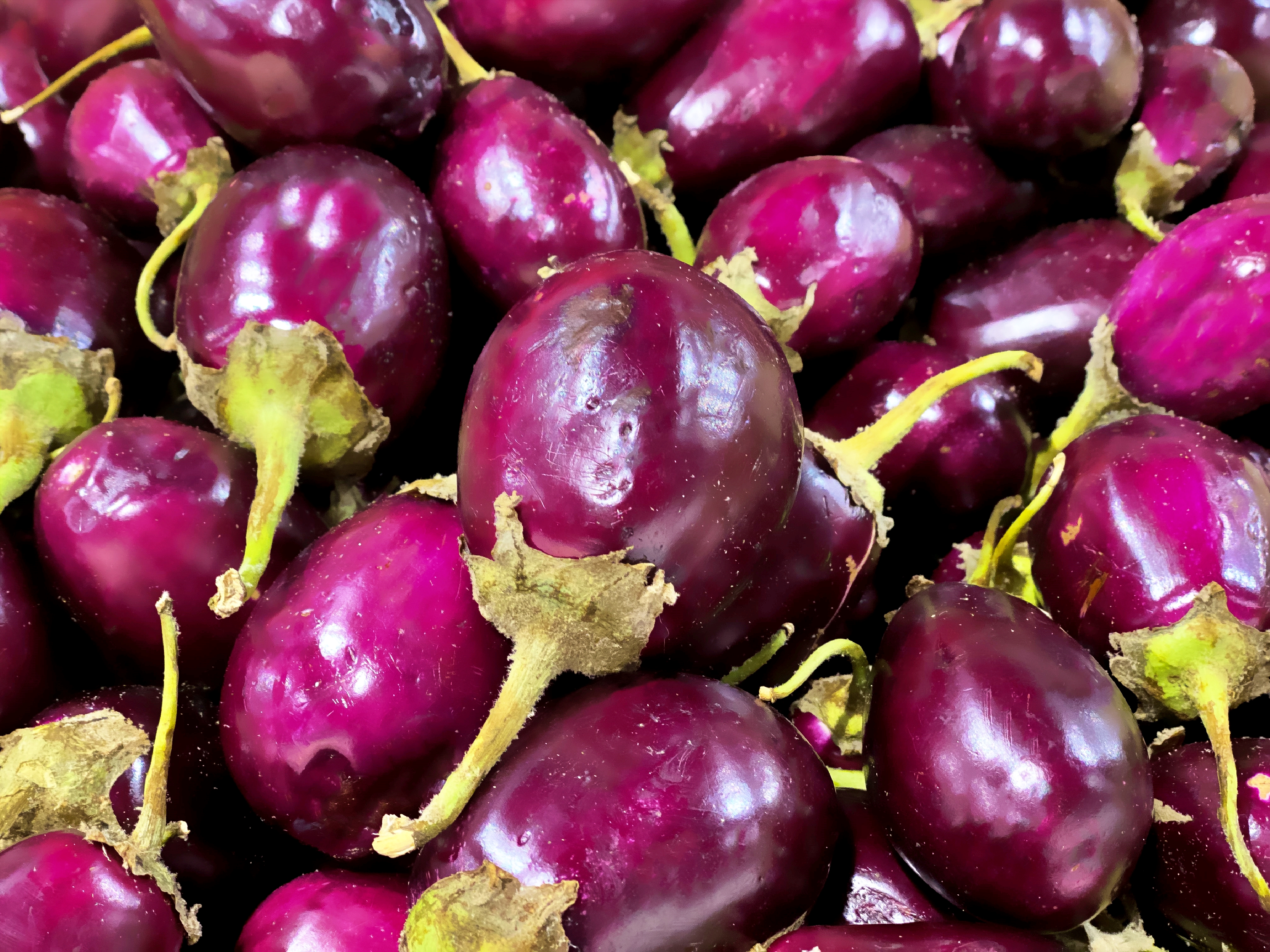 "అదరహో!" అనిపించే వంకాయ వెజ్ కర్రీ - ఇదొక్కటి చేయడం తెలిస్తే బెస్ట్ ...