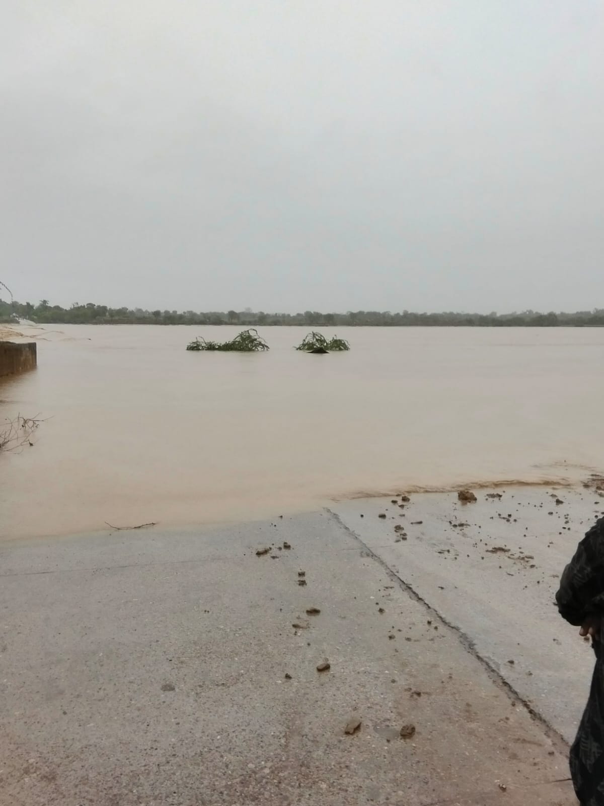 Major Rivers In Spate In Rajasthan's Hadoti Amid Incessant Monsoon Rains