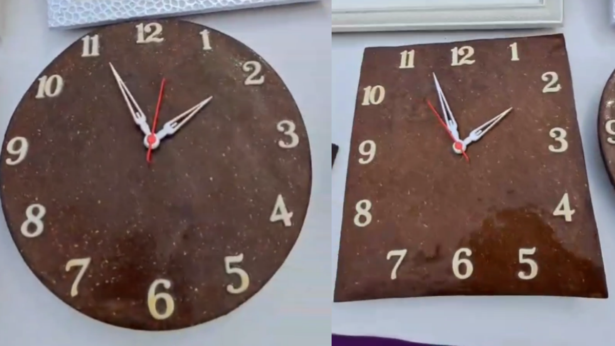 Clocks, 3D Temples: Haryana Couple Harness The Power Of Cow Dung; Turn Showstoppers At Expo