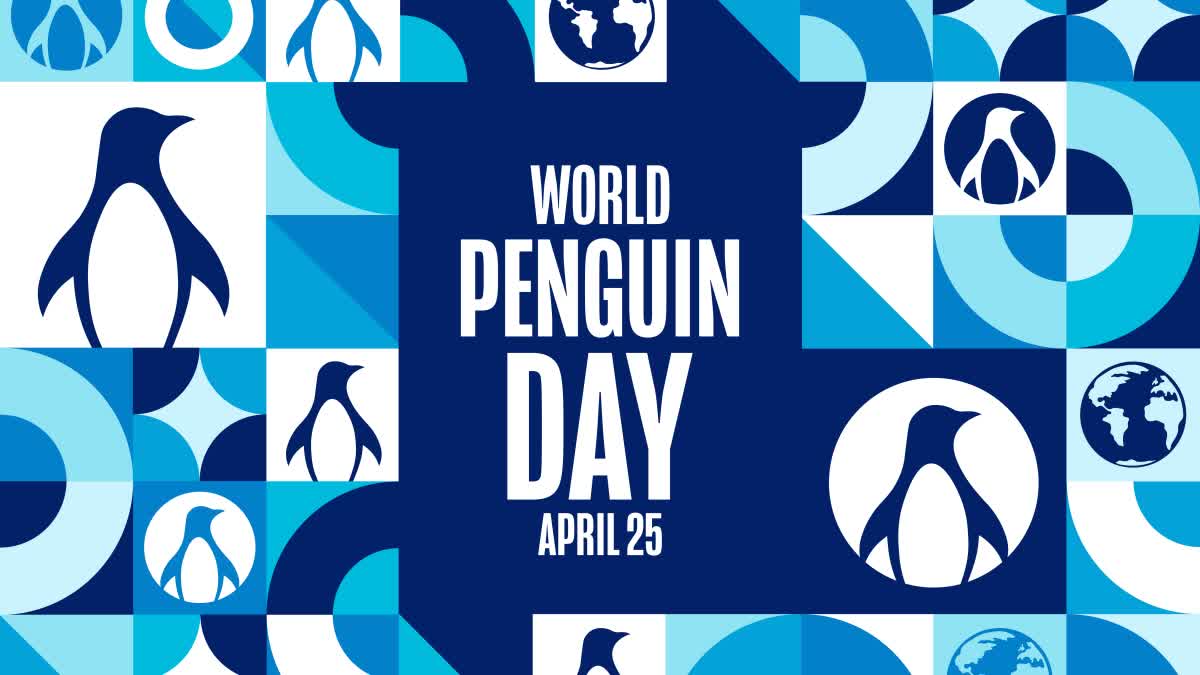 World Penguin Day 2024: History, Timeline, Interesting Facts - All You ...