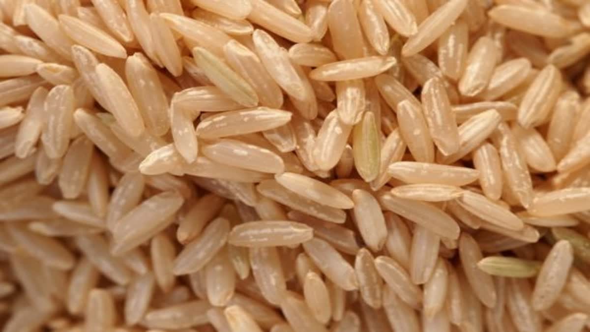 ரேஷன் அரிசி சர்க்கரை அளவை குறைக்கிறதா? உண்மை என்ன? - Does ration rice ...