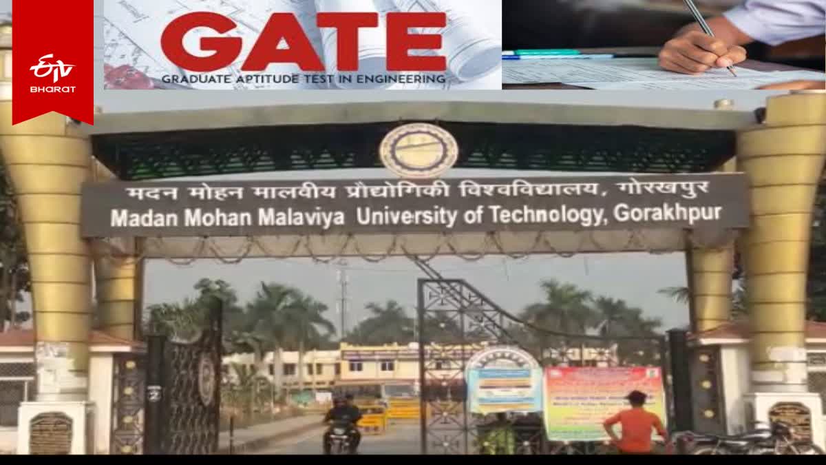 GATE: गोरखपुर MMMUT के 157 छात्र हुए सफल, ऑल इंडिया रैंकिंग में भी आए ...