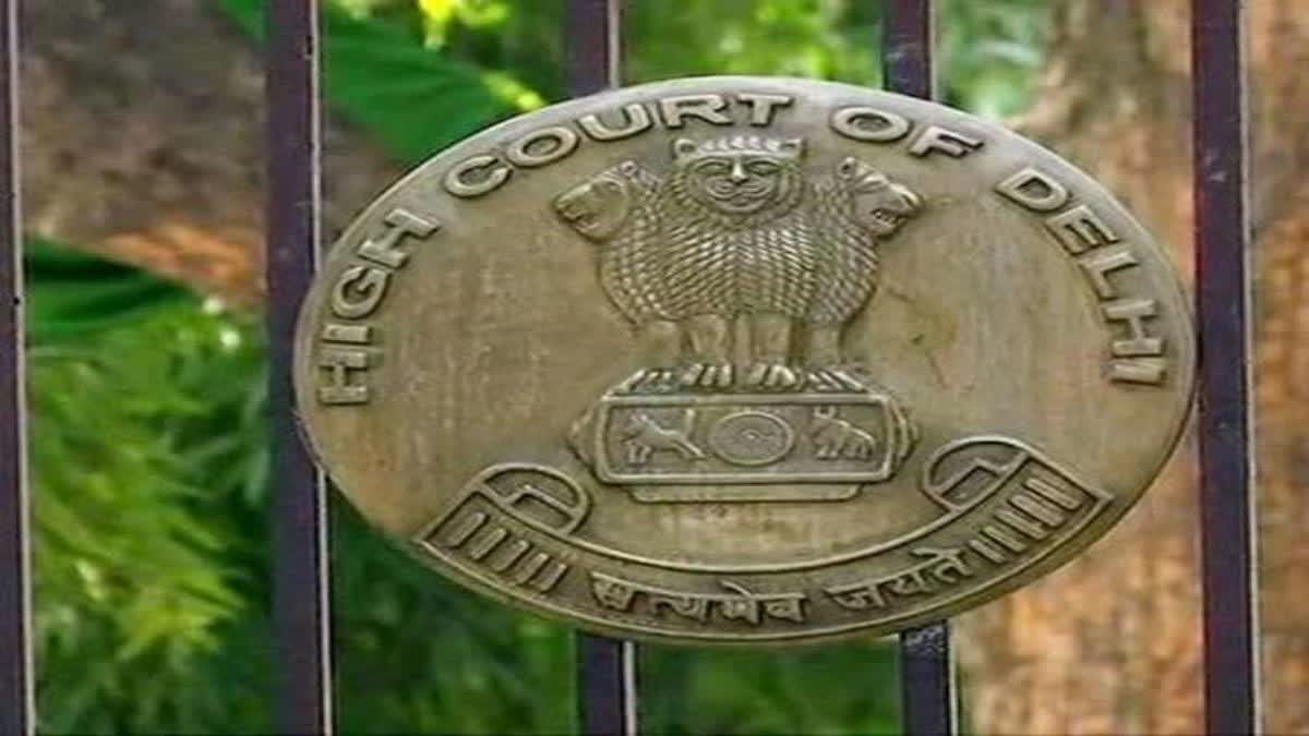 Delhi HC Rejects Pakistani Woman's Plea For Long-Term Visa Amid India's ...