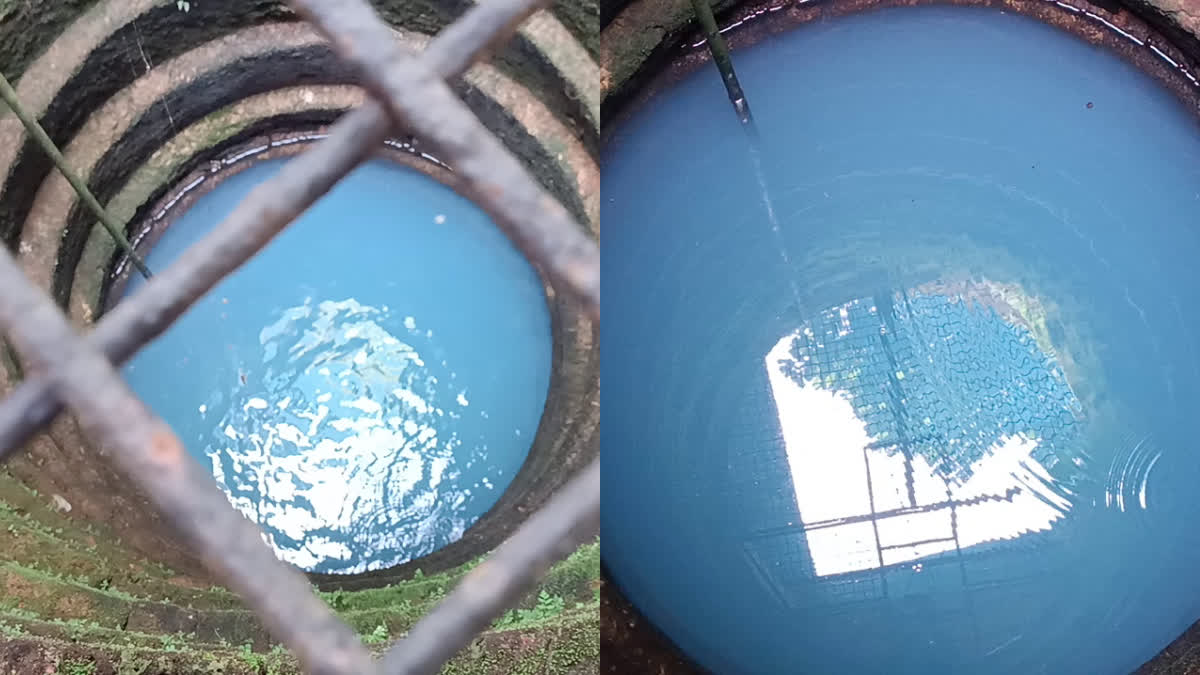 Well Water Colour Turned Blue: കിണർ വെള്ളത്തിന് നീല നിറം, സംഭവം ...