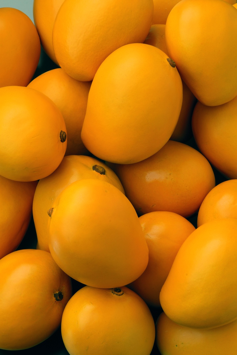 Aam Aadmi’s Guide to Over a Dozen Mango Varieties, And How to Identify Them