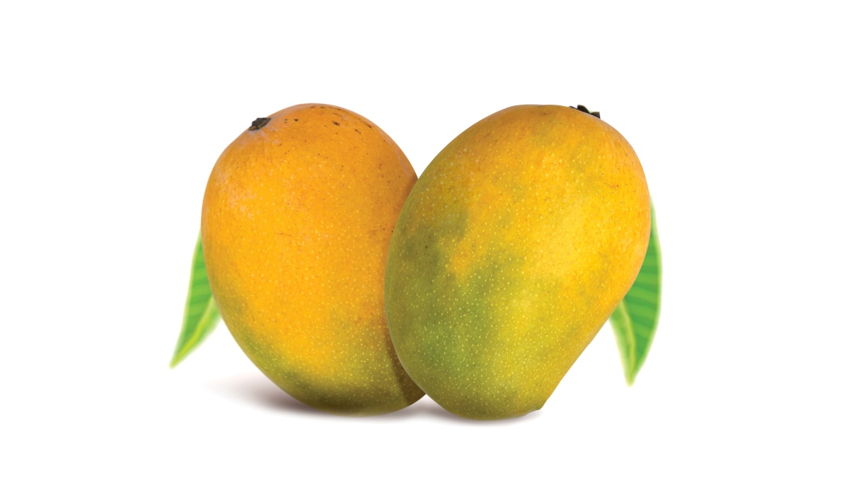Aam Aadmi’s Guide to Over a Dozen Mango Varieties, And How to Identify Them