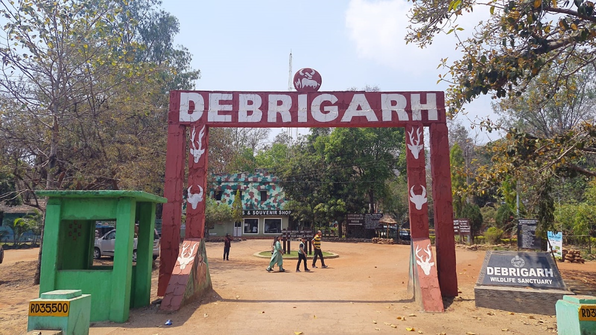 A Success In Bison Conservation, Debrigarh Sanctuary In Odisha Holds ...