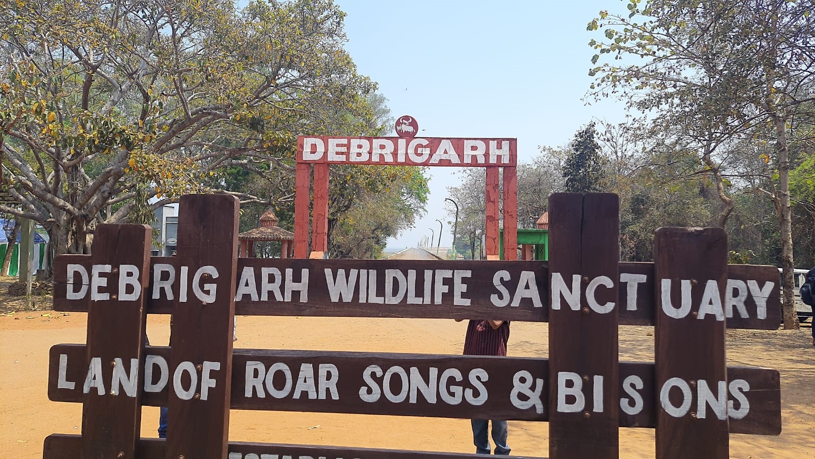 A Success In Bison Conservation, Debrigarh Sanctuary In Odisha Holds ...