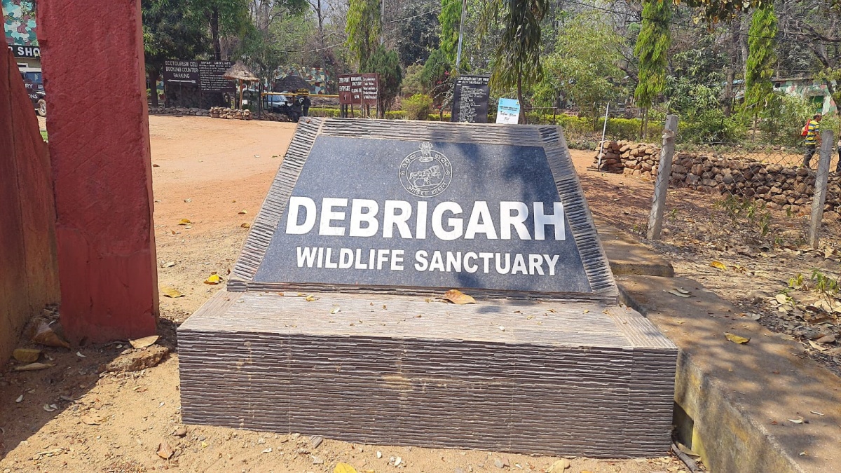 A Success In Bison Conservation, Debrigarh Sanctuary In Odisha Holds ...