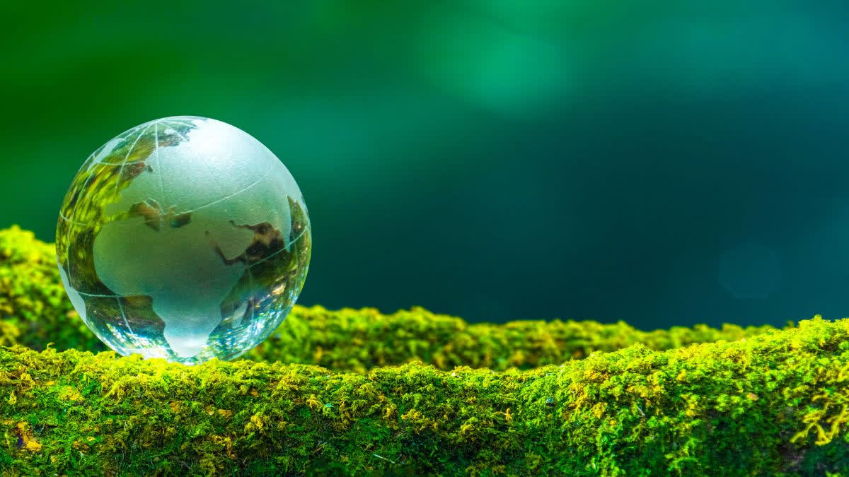 World Nature Conservation Day: 11 Simple Steps To Help The Environment ...