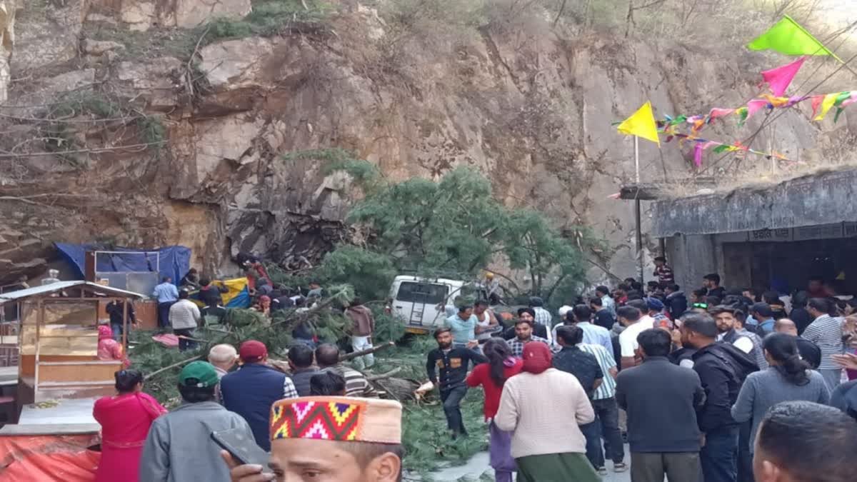 Kullu: 6 Including 4 Tourists Die As Huge Tree Falls On Vehicles In ...