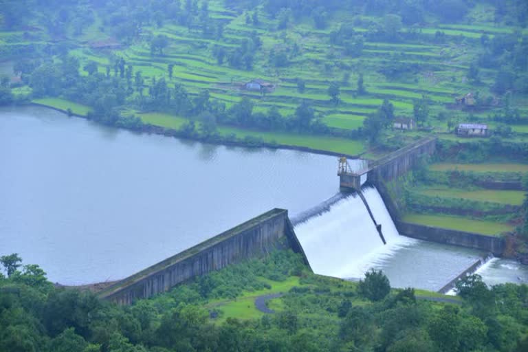 पाणलोट क्षेत्रात दोन दिवसांपासून मान्सून सक्रिय, आंबित धरण ओव्हर फ्लो ...
