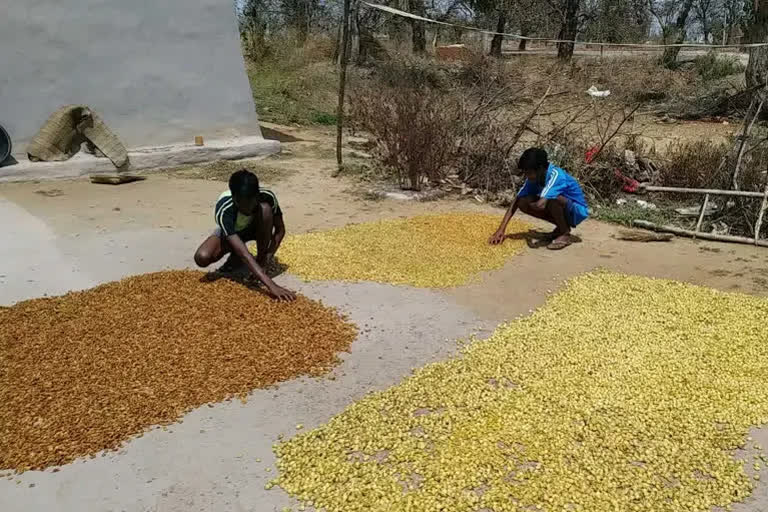 Sarguja women get tips to make cookies from Mahua nuts in Chhattisgarh