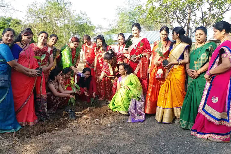 Tree Plantation : वट पौर्णिमेनिमित्त वृक्षारोपण, सुवासिनींचा वृक्ष ...