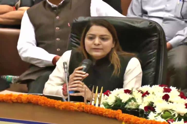 Delhi mayor seeks details of ongoing, upcoming projects from departments