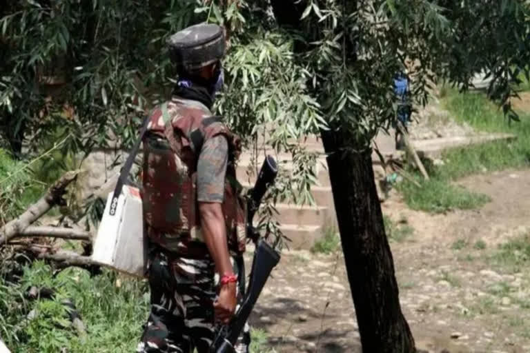 BSF recovers IED in J-K's Handwara