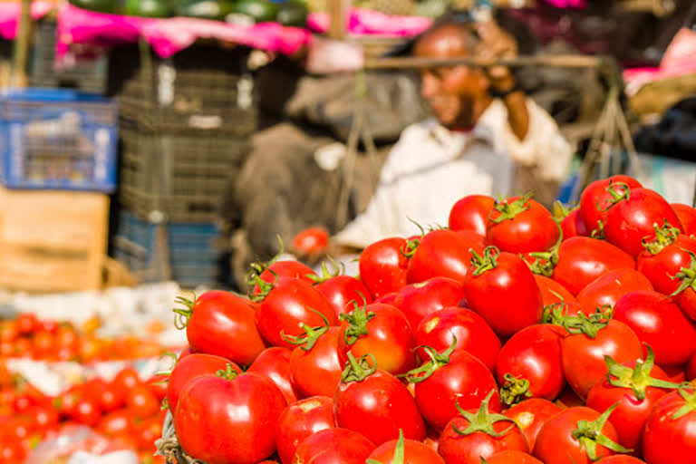 Tomato prices surge up to Rs 80 per kg in Delhi as monsoon disrupts supply